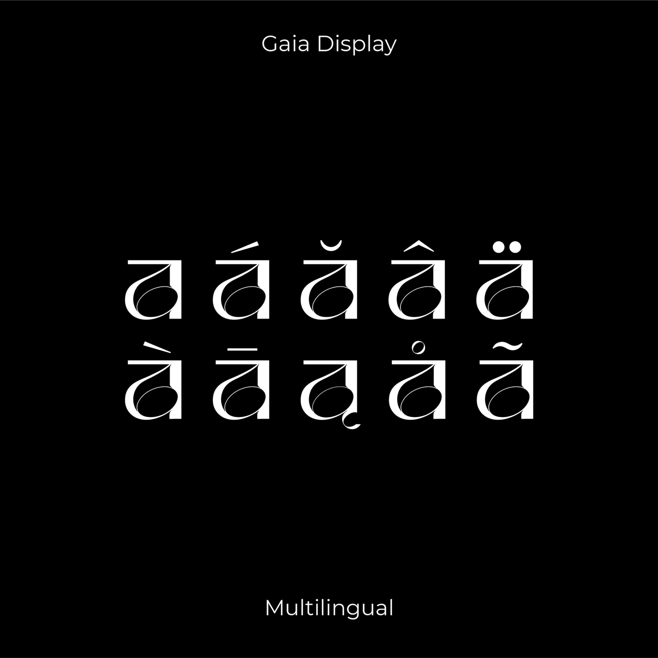 Gaia Display – Type Department