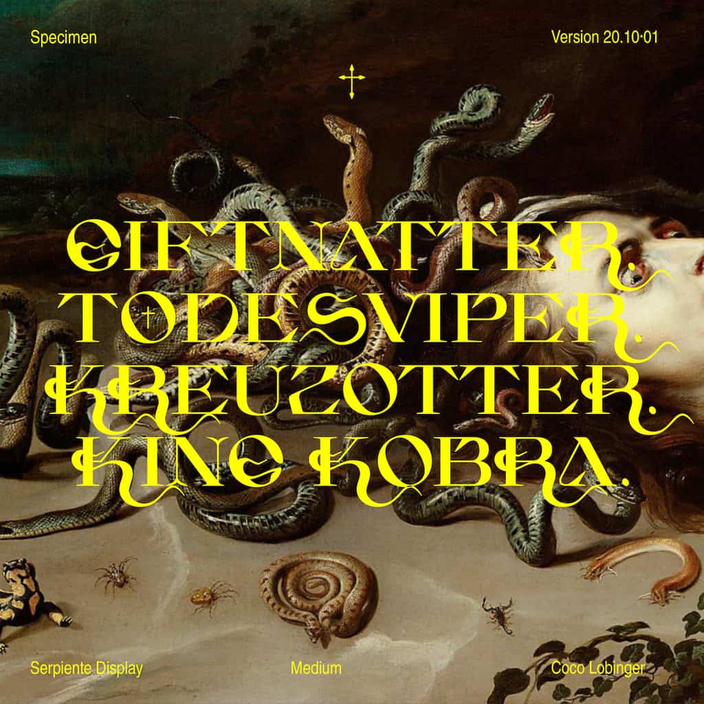 Serpiente Display Medium – Type Department