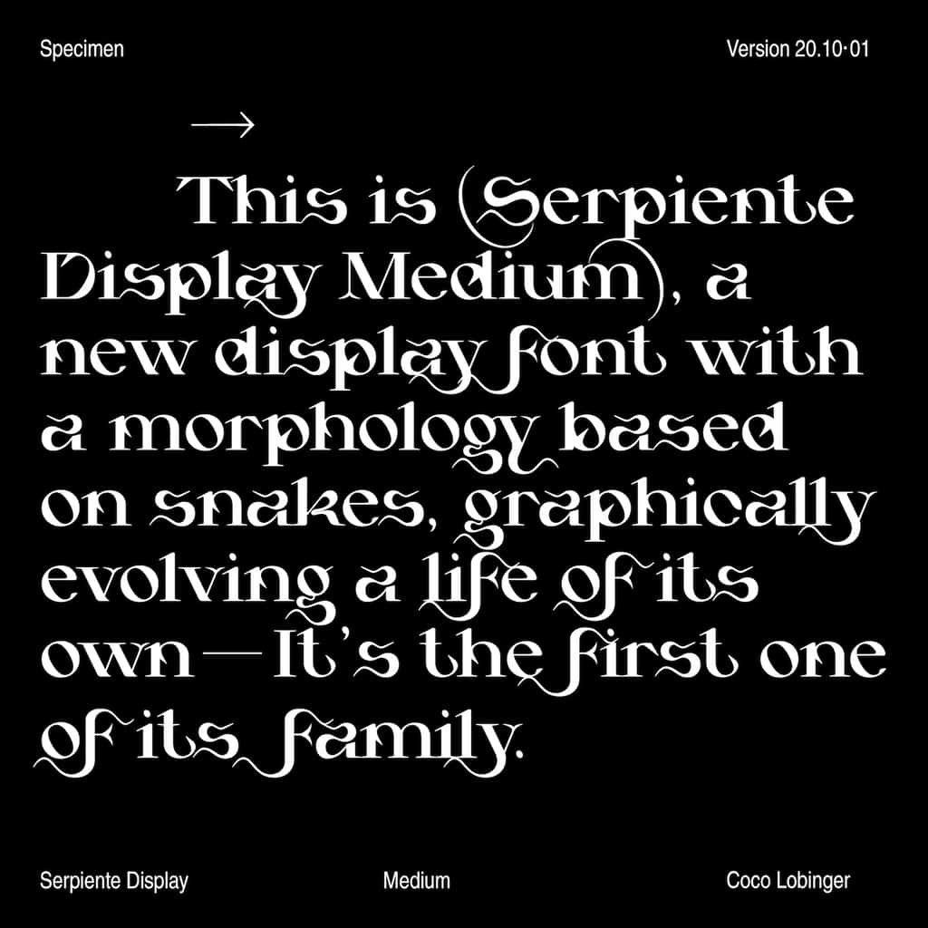 Serpiente Display Medium – Type Department