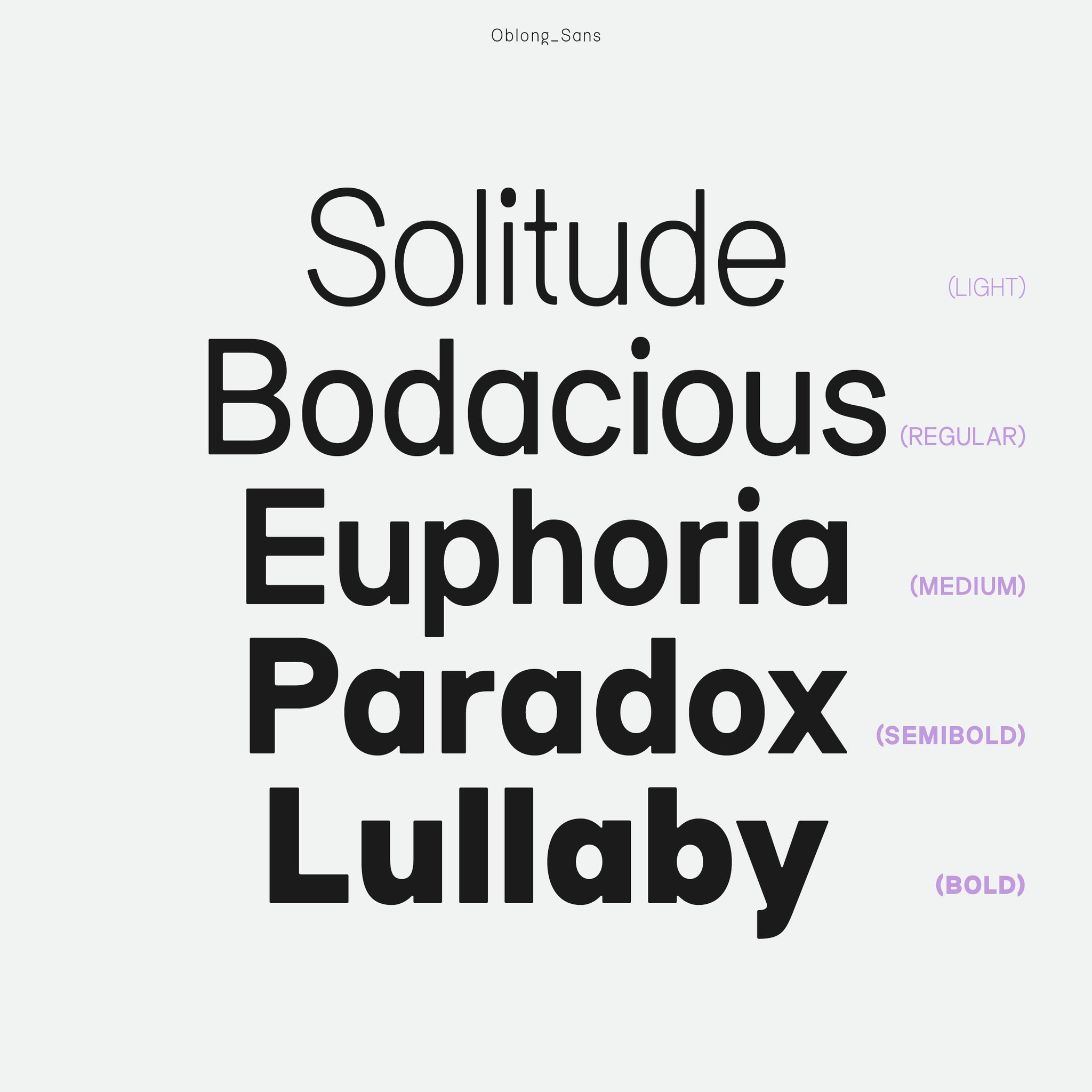 Oblong Sans – Type Department