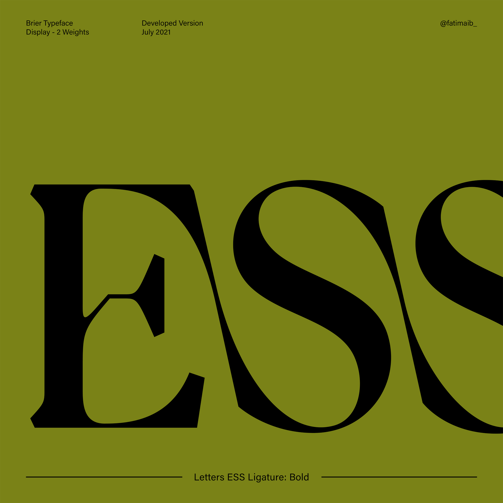 Brier – Type Department